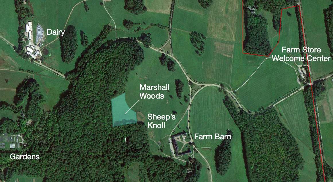 What on the Farm? Marshall Woods | Shelburne Farms